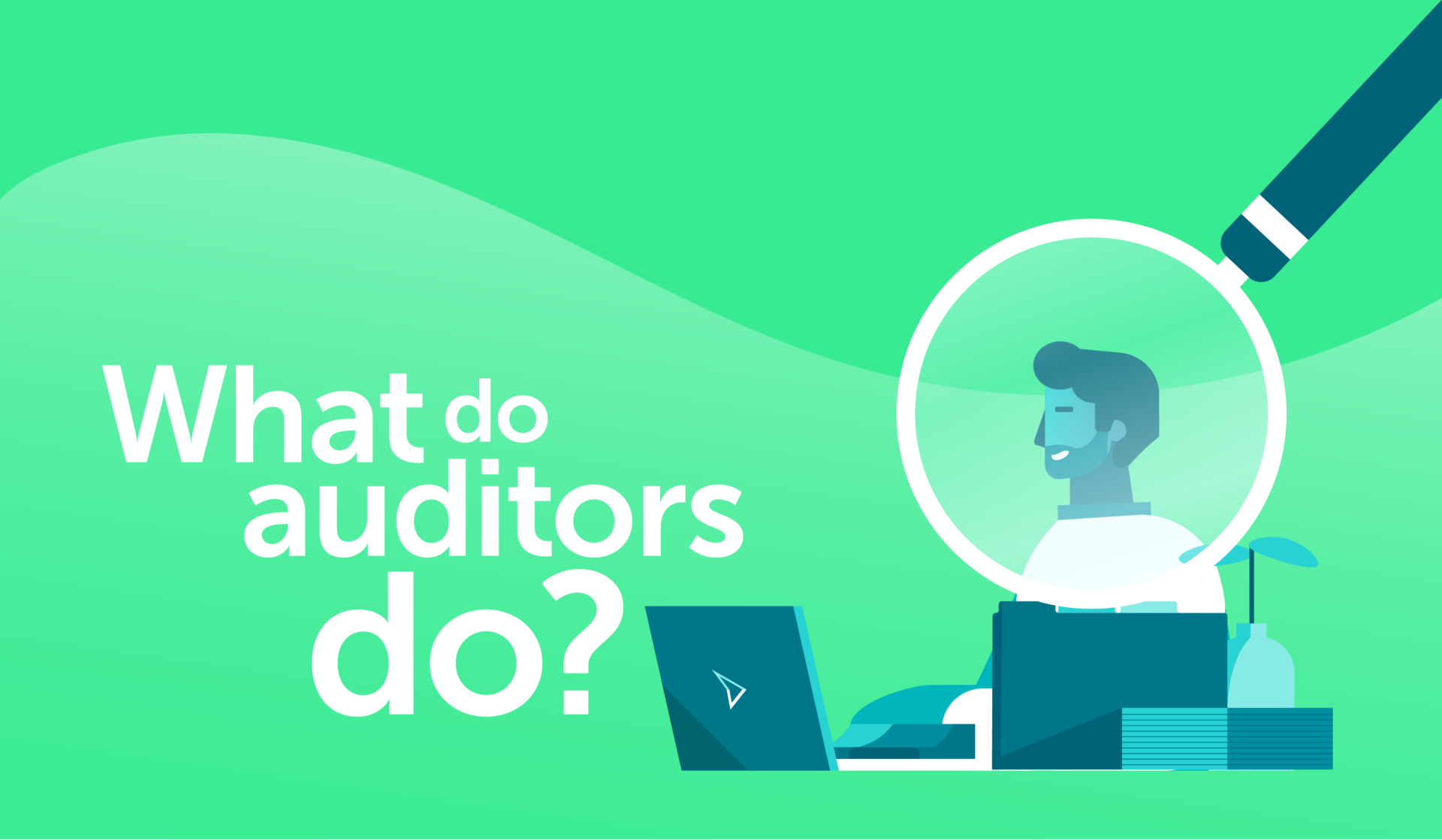 What do auditors do? - Ad Valorem